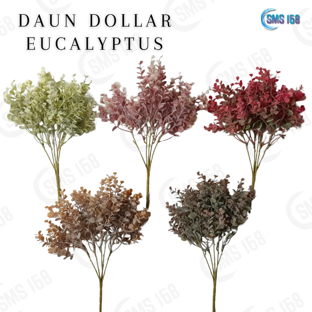 Jual Daun dollar eucalyptus ( Premium ) | Shopee Indonesia