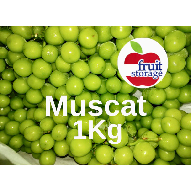 Jual Buah Anggur Hijau Seedless tanpa Biji Import shine muscat merah ...
