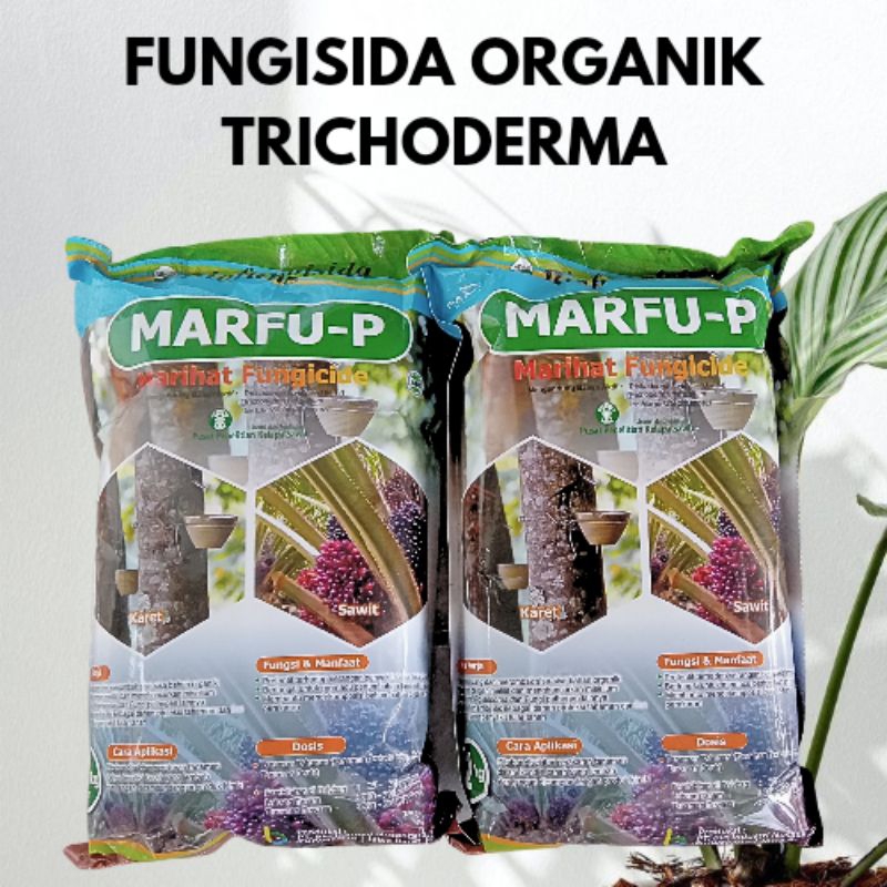 Jual Bio Fungisida Organik tanaman ( Trichoderma ) Marfu - P 1kg Tricoderma Harzianum Bio ...