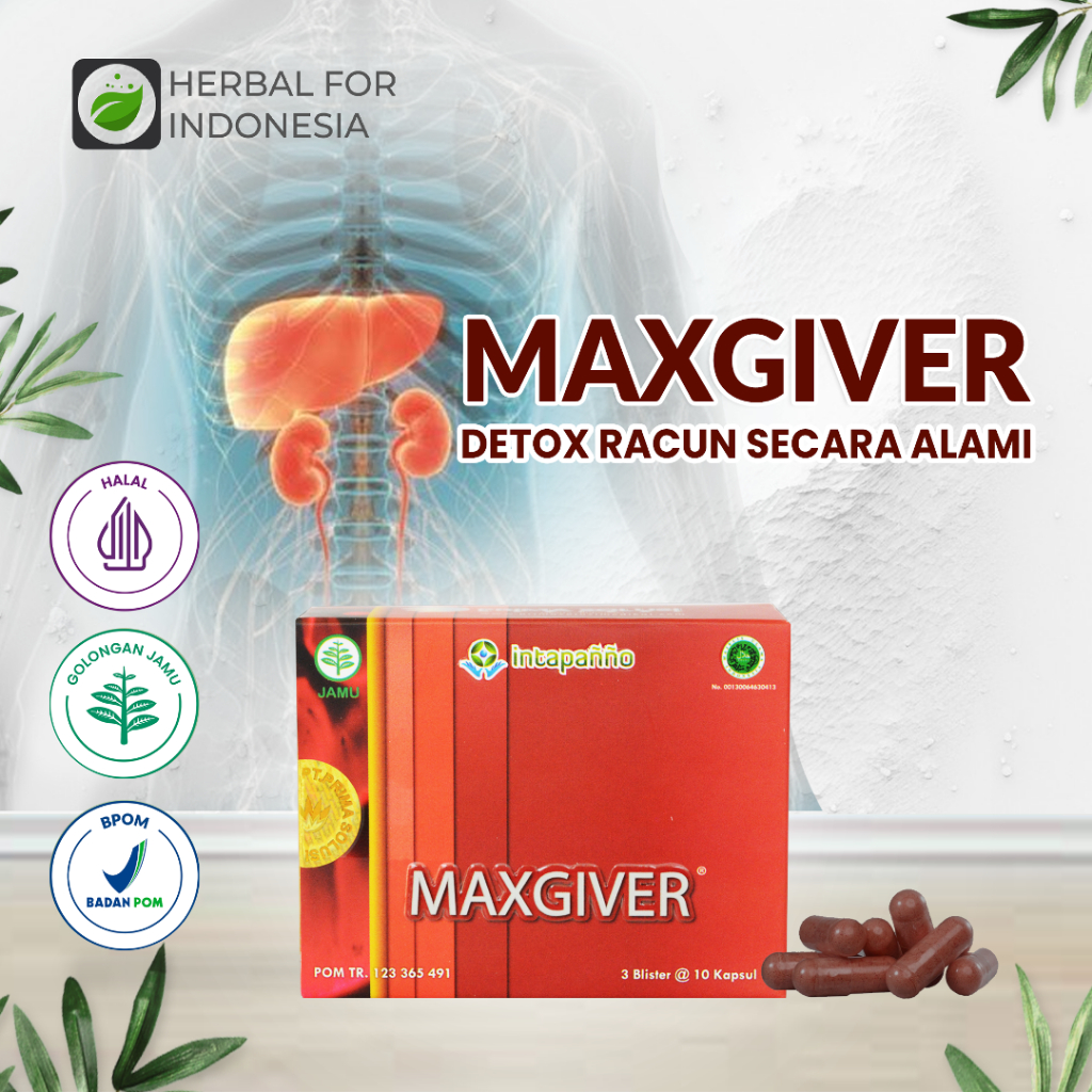 Jual MAXGIVER OBAT HERBAL HEPATITIS LIVER GINJAL 30 KAPSUL ORIGINAL ...