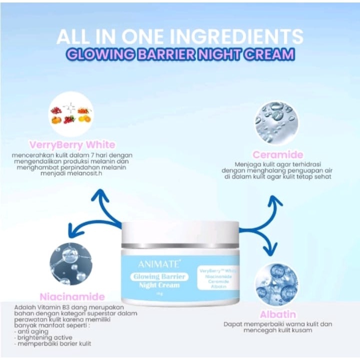 Jual ANIMATE Skincare Night Cream Day Krim Instant Whitening - Glowing ...