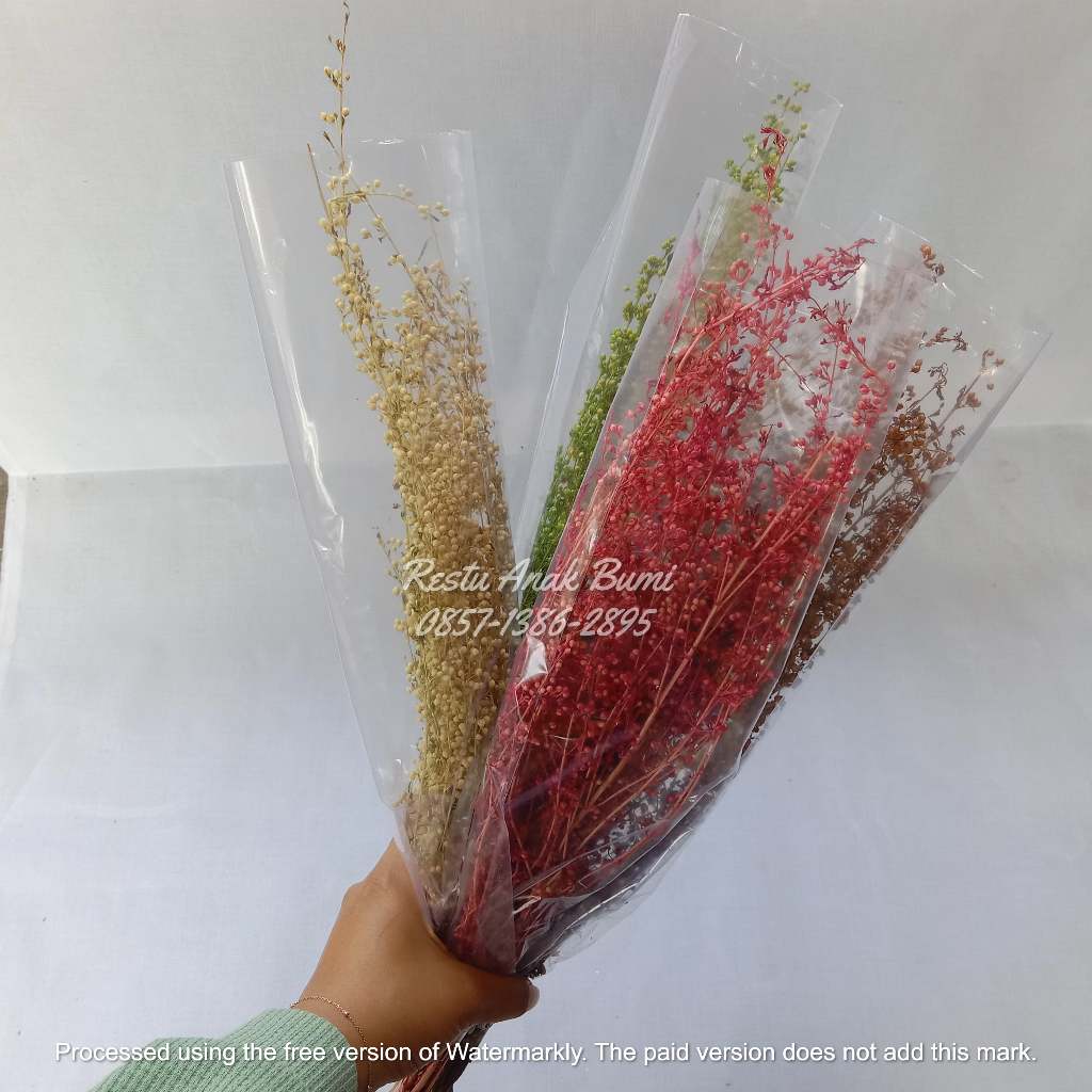 Jual Dried Blossom Baby's Breath / Gypsophila Bunga Kering Asli Dried Flower Baby Breath ...