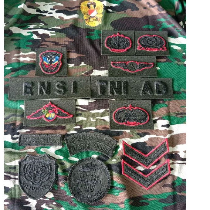 Jual ATRIBUT PDL TNI AD,TNI AL,TNI AU PERKERAS MIKA/PERKERAS KAIN ...