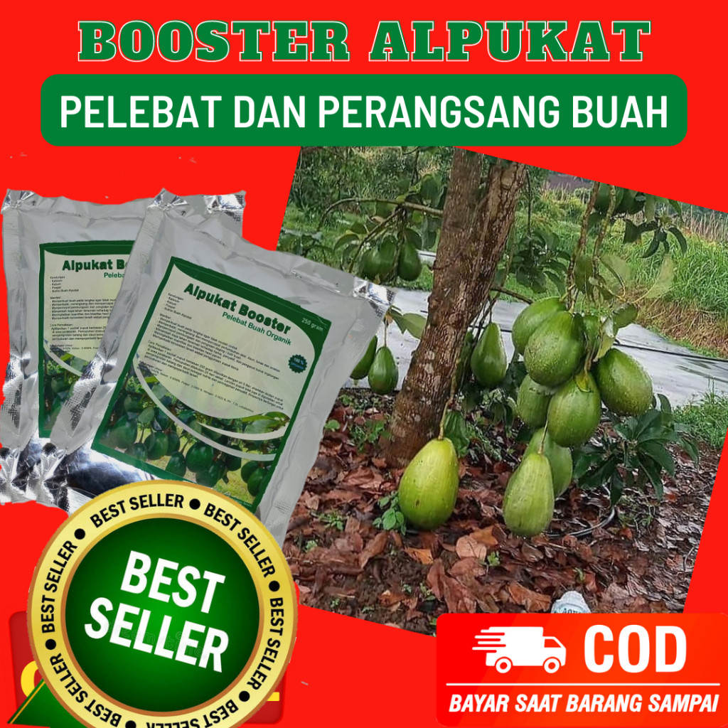 Jual Booster Alpokat Mr. Farm (Pupuk Organik Booster Khusus Alpokat ...