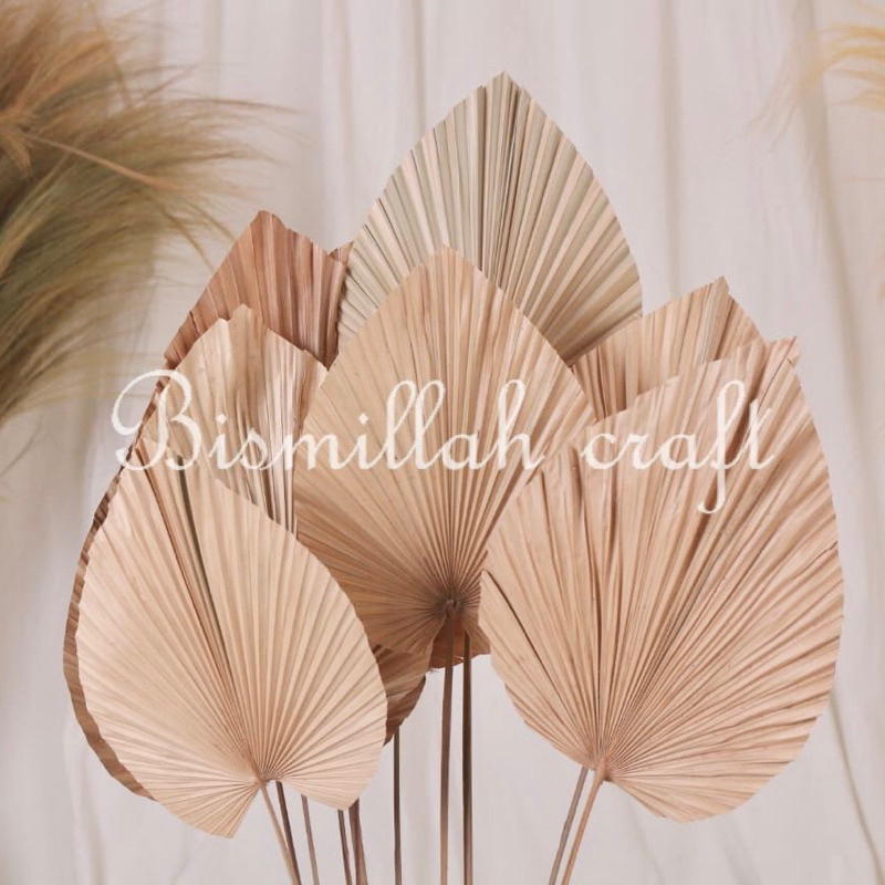 Jual PROMO !!TERMURAH Palem Mini Dekorasi Daun Rustik Kering Palem ...