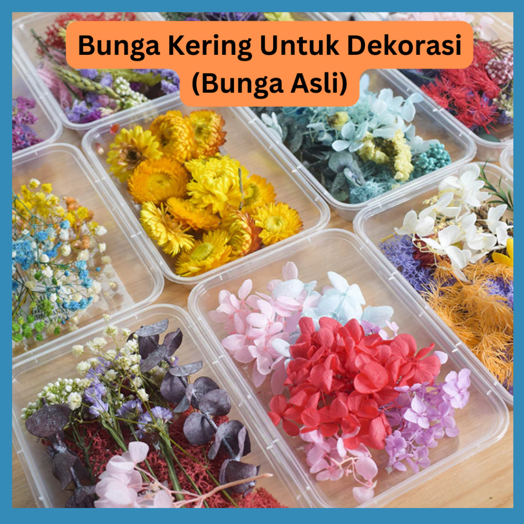 Jual Bunga Kering Untuk Dekorasi Bunga Asli Shopee Indonesia