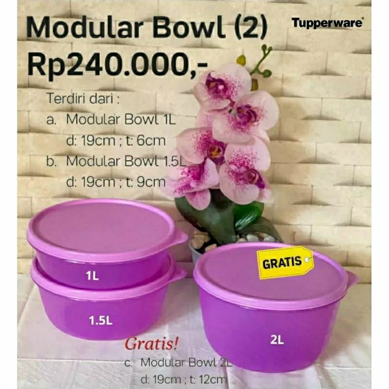 Jual tupperware modular bowl | Shopee Indonesia