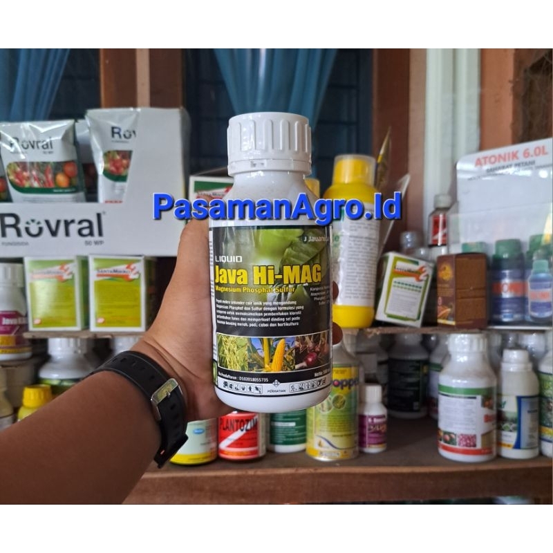 Jual PUPUK MAKRO JAVA HI-MAG MAGNESIUM PHOSPHAT SULFUL | Shopee Indonesia