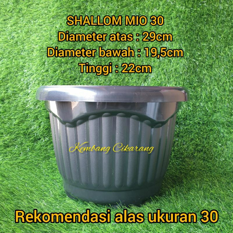 Jual (1pc) SHALLOM MIO 30 (29cm) : pot bunga bulat besar tebal murah (belum termasuk alas pot ...