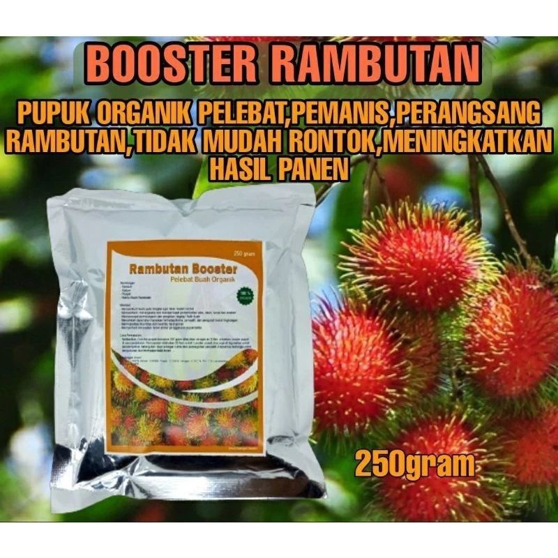 Jual Pupuk Rambutan Booster 250 gram - Pupuk Pelebat Buah Rambutan - Pupuk Buah Rambutan ...