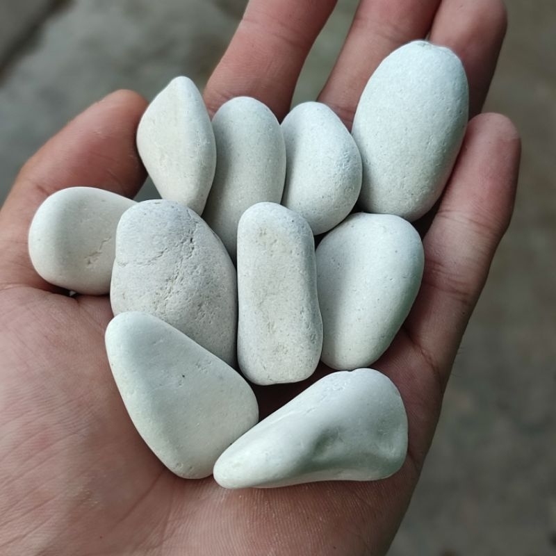 Jual Batu Alam Batu Hias Batu Koral untuk Taman Aquarium | Shopee Indonesia