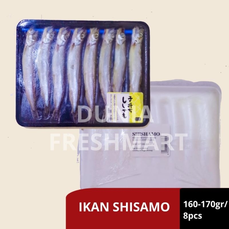 Jual IKAN SHISAMO/IKAN CAPELIN 170-180GR IKAN TELUR JEPANG PREMIUM ...