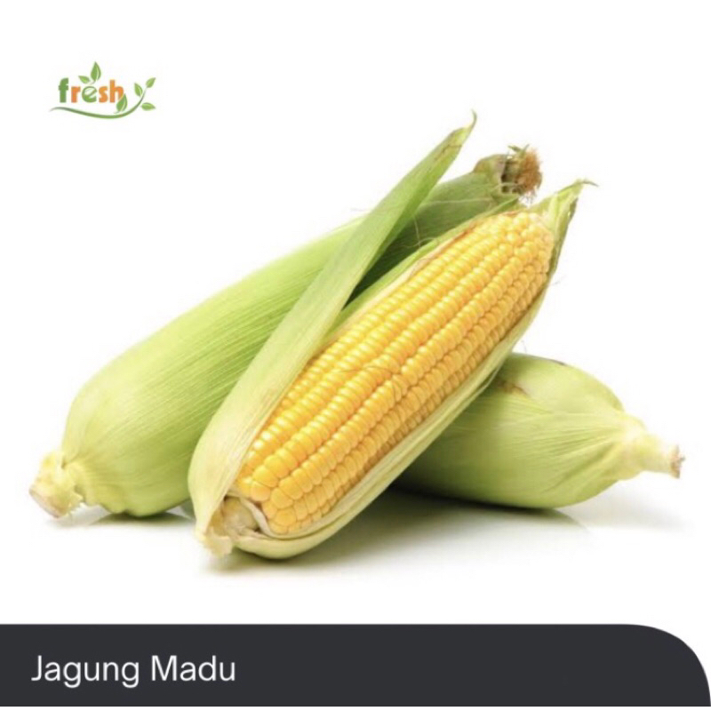 Jual Jagung Madu (Harga Satuan) | Shopee Indonesia