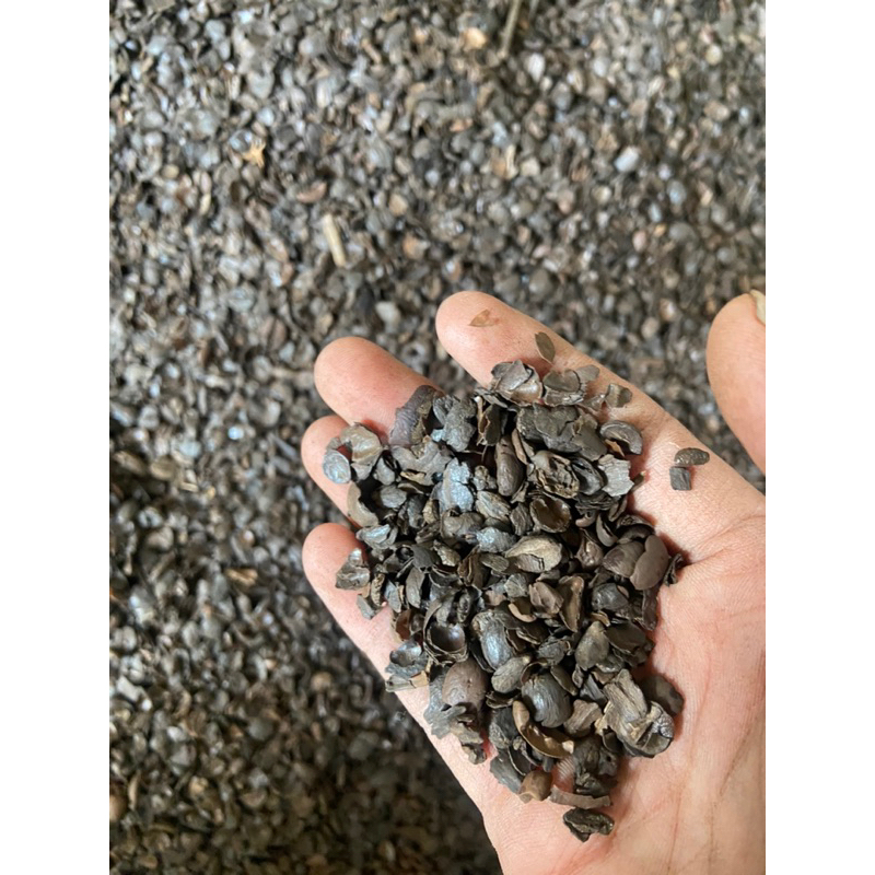 Jual KULIT KOPI OVEN SUTON 1KG | Shopee Indonesia