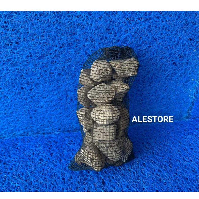 Jual Batu apung (pumice stone) media filter aquarium dan kolam Rumah ...