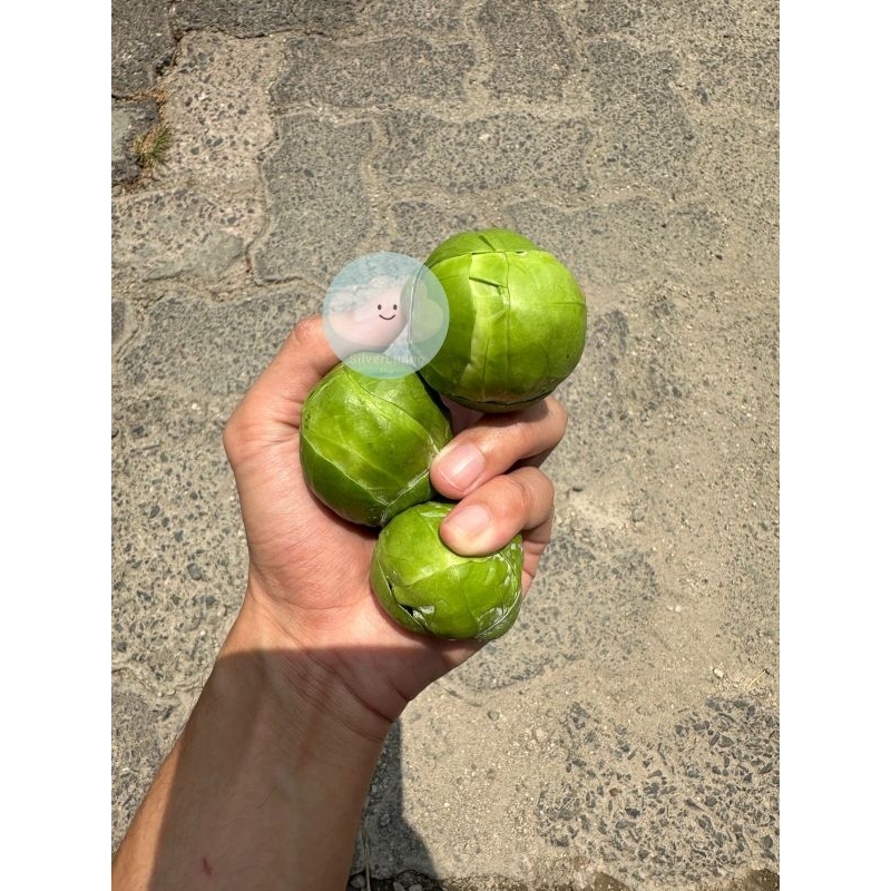 Jual BRUSSELS SPROUT / KUBIS MINI AUSTRALIA 500GRAM | Shopee Indonesia