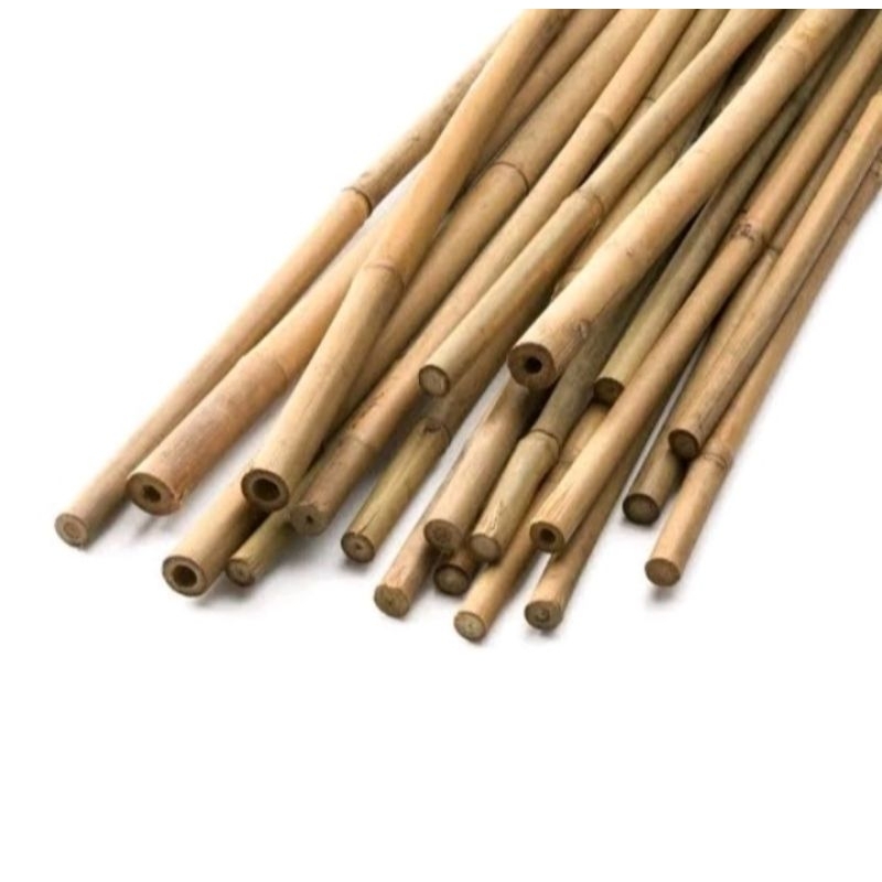 Jual Ranting Bambu Kering Ramah Lingkungan Untuk Kerajinan Per 10 Pcs ...