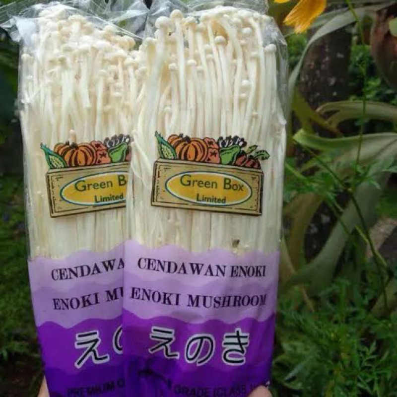 Jual JAMUR ENOKI 100 GRAM / PACK | Shopee Indonesia