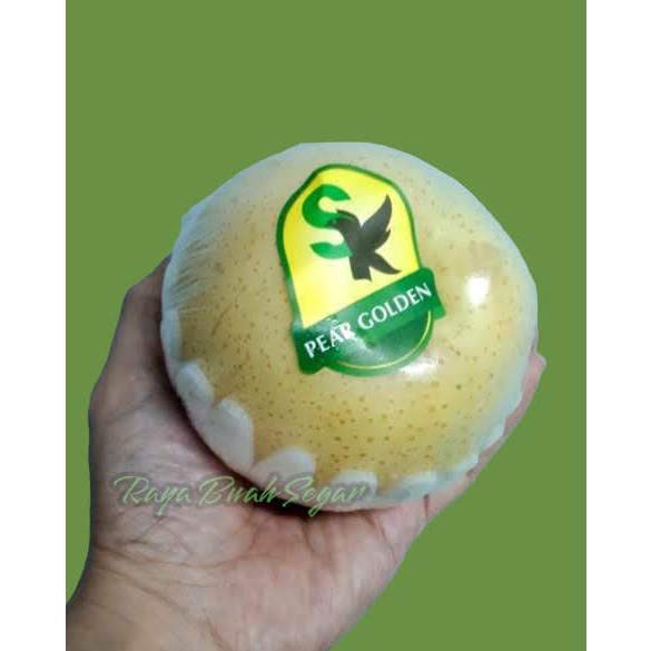 Jual Pear Golden Korea Buah Pir Import segar 1000gr | Shopee Indonesia