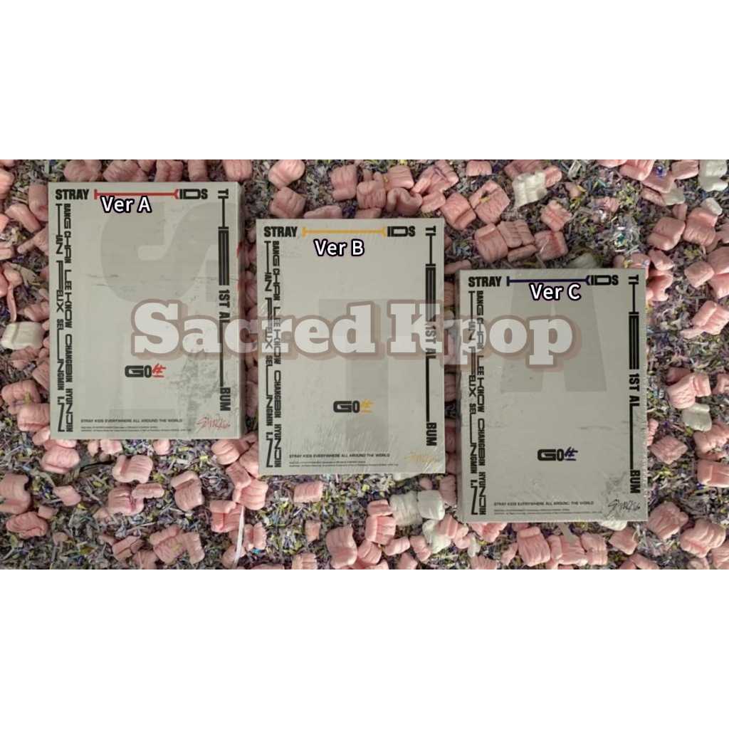 Jual STRAY KIDS Go [1st Full Album] Standard Edition Official Album ...