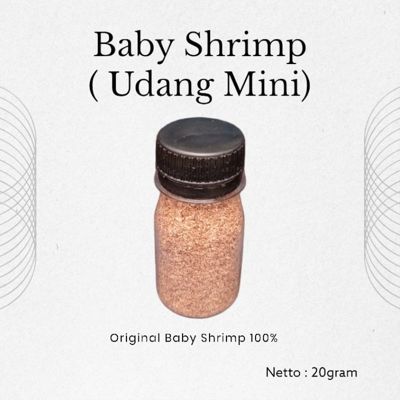 Jual Baby shrimp/Babyshrimp/udang mini/baby shrimp pakan ikan hias ...