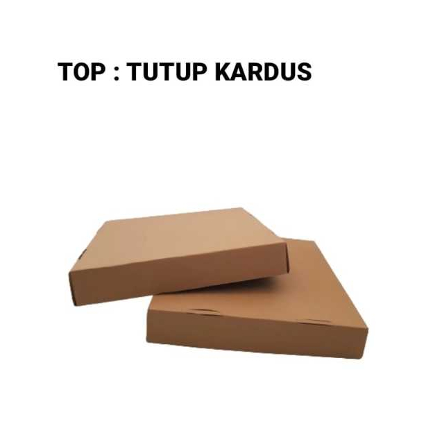Jual Box 30x30x20 cm (Set Top/Bot Heebe) Kardus/Karton/Paking/Polos ...