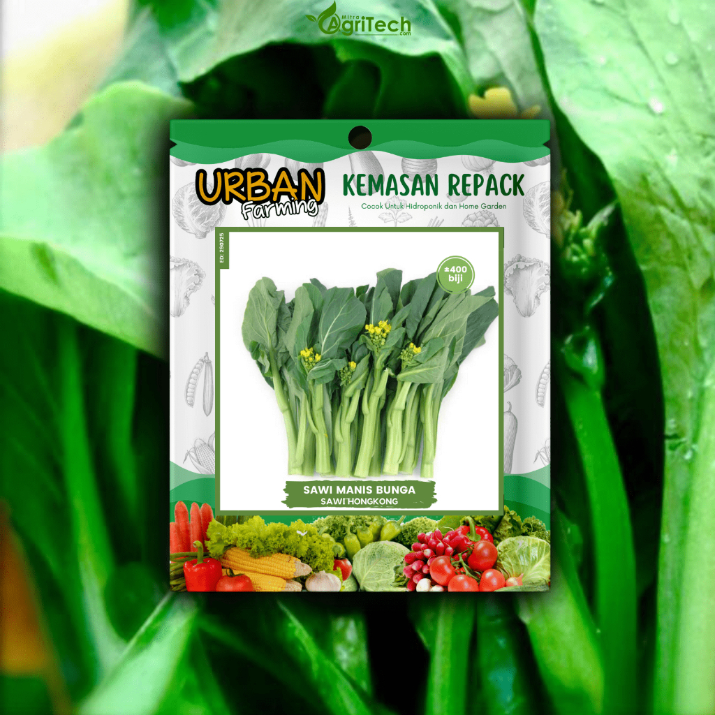 Jual BENIH BIBIT SAWI BUNGA HONGKONG CAISIM ISI 400 BIJI KEMASAN REPACK ...