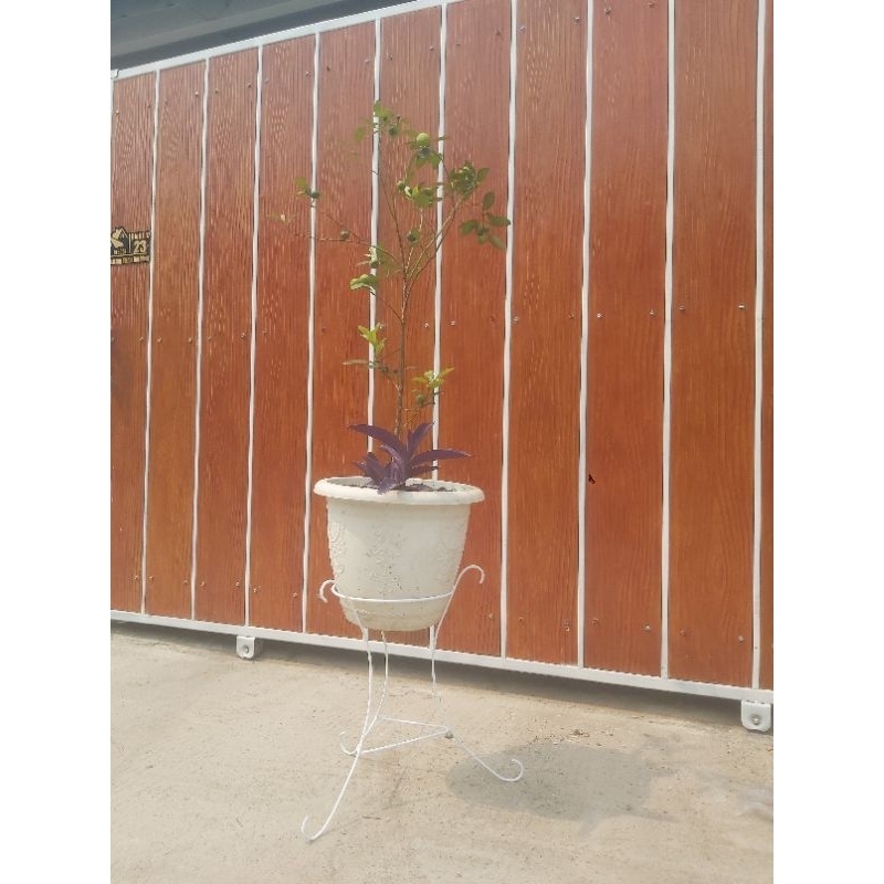 Jual standing pot besi SNI | Shopee Indonesia
