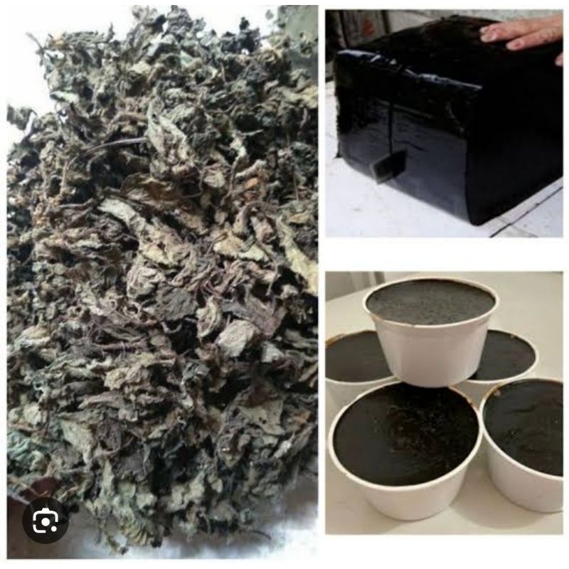 Jual Daun Cacah Janggelan / Cincau Kering asli Pacitan(bahan jelly) 1 ...