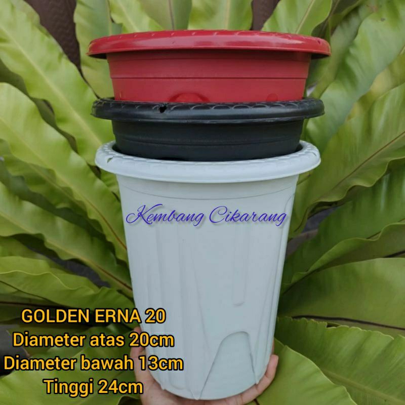 Jual (1pc) GOLDEN ERNA GE 20 (20cm) : pot bunga tinggi tegak tebal ...
