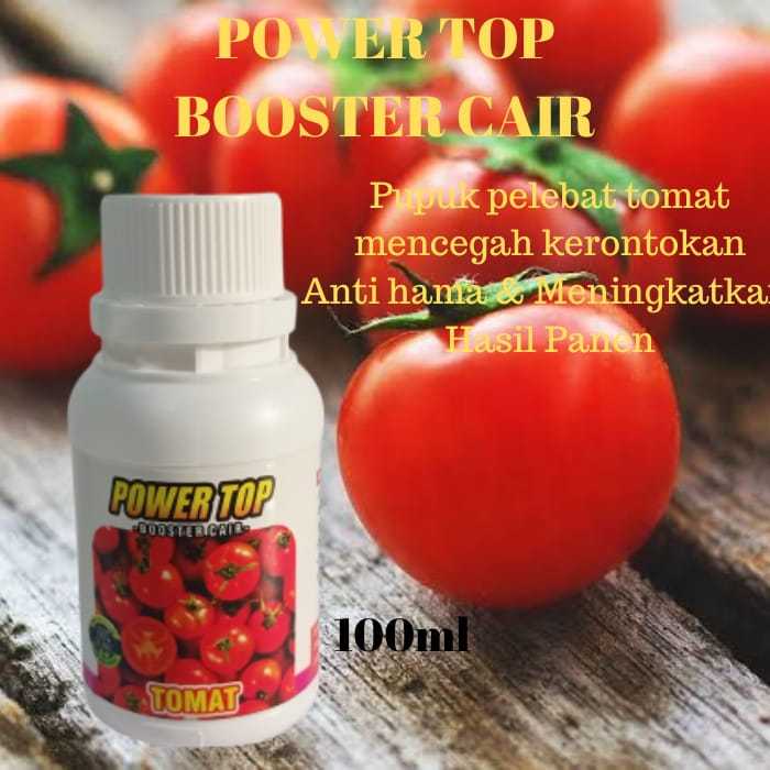 Jual Pupuk Pelebat Tomat Pupuk Booster Tomat Cair Pupuk Organik Pelebat Buah Tomat Menyuburkan ...