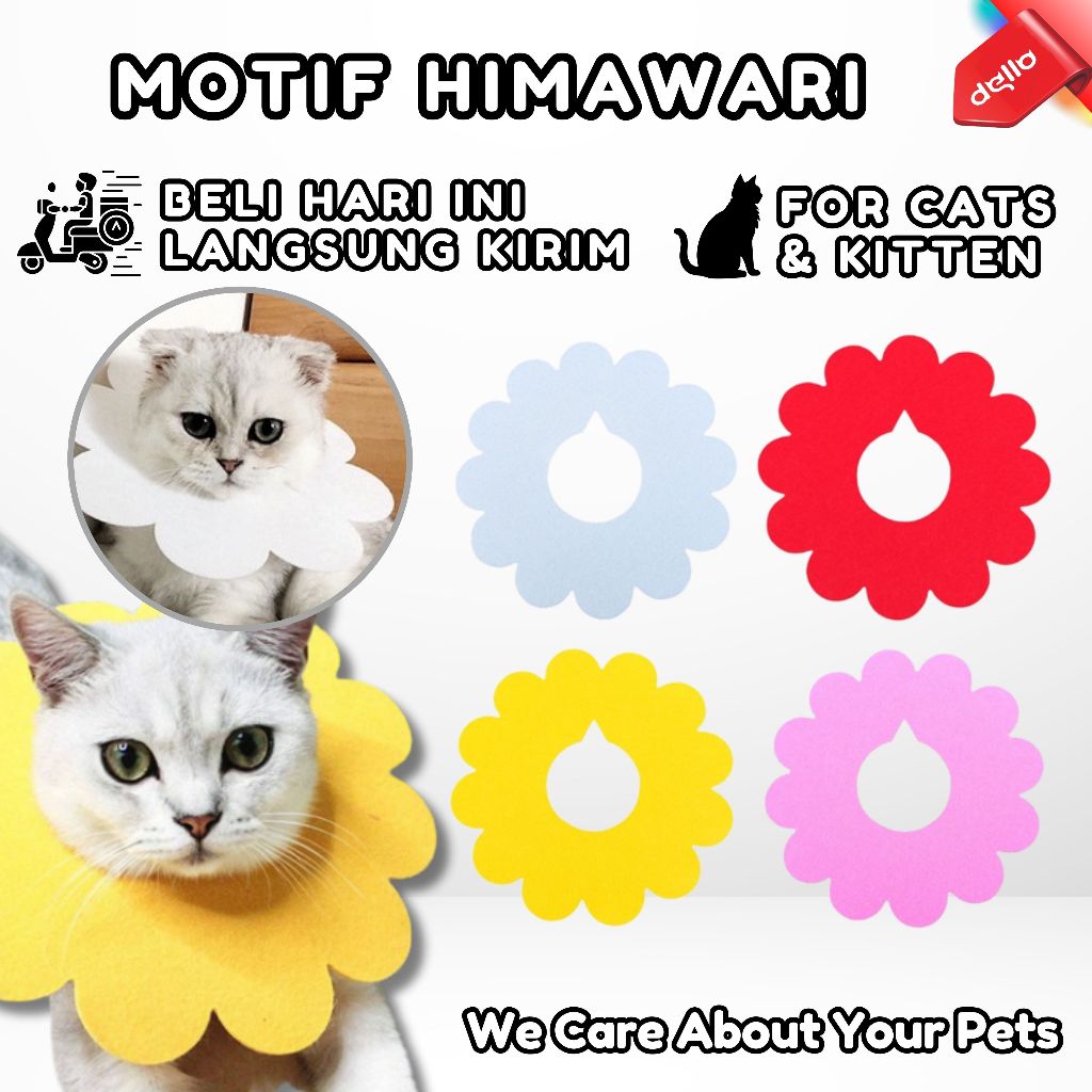 Jual Collar Spons Pelindung Kucing & Anjing Model Bunga yang Nyaman ...