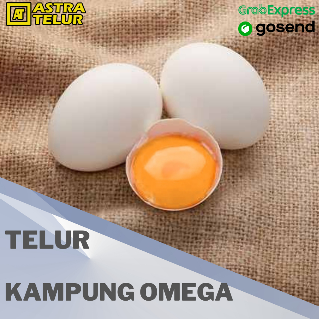 Jual TELUR KAMPUNG OMEGA (BUTIR) | Shopee Indonesia