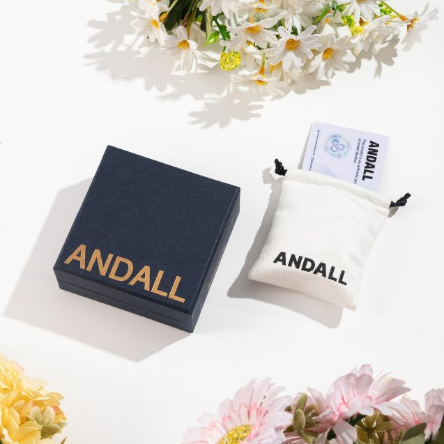 Jual ANDALL - Gift Box — Hard Case Box and Canvas Pouch Hamper Birthday ...