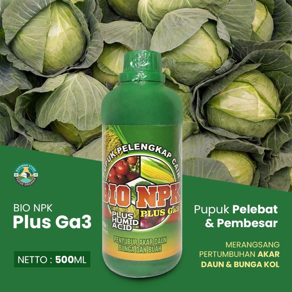 Jual pupuk pembesar buah kubis BIO NPK GAZA Plus Ga3 pupuk penyubur dan pelebat buah kubis atau ...