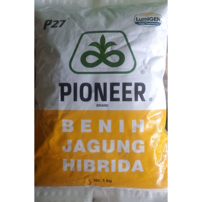 Jual BENIH JAGUNG PIONER P27 LUMIGEN 1 KG | Shopee Indonesia