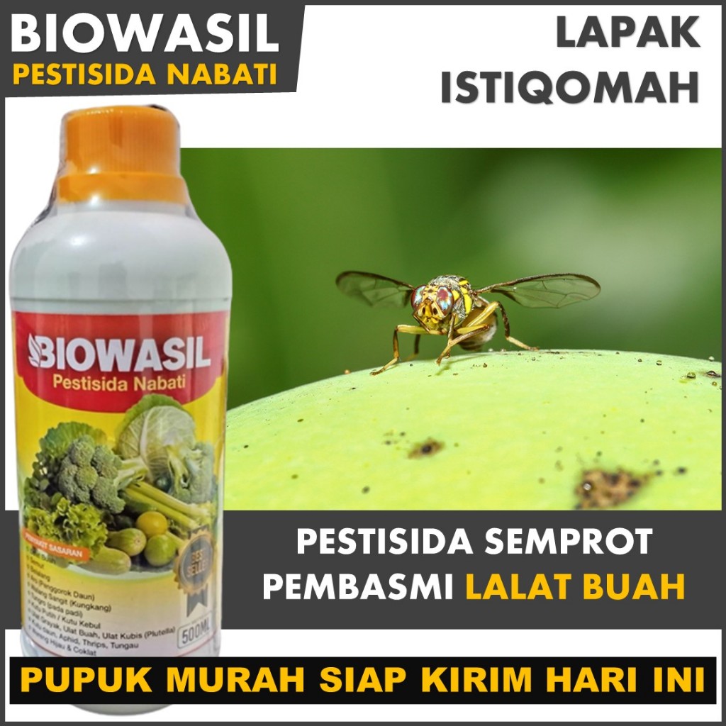 Jual Pupuk Organik Semprot Pengendali Hama LALAT BUAH Terbaik isi 500 ...