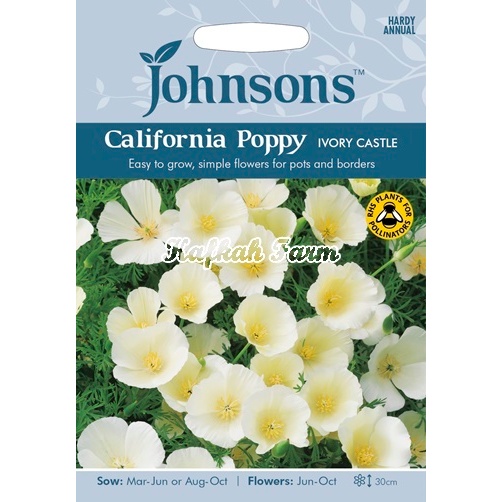 Jual Benih 3 Biji Bunga CALIFORNIA POPPY Ivory Castle | Shopee Indonesia