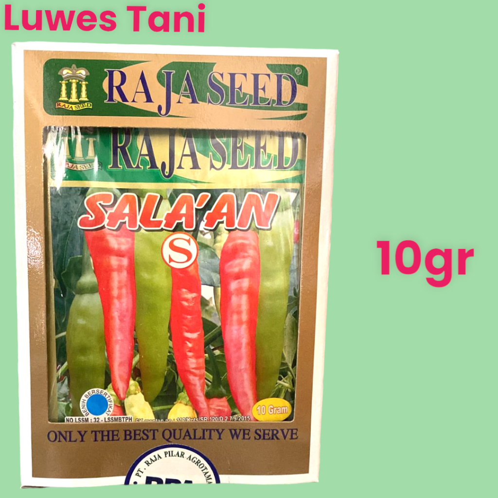 Jual Benih Cabe Rawit Setan SALAKAN SALA’AN 10 Gram raja seed rawit ...