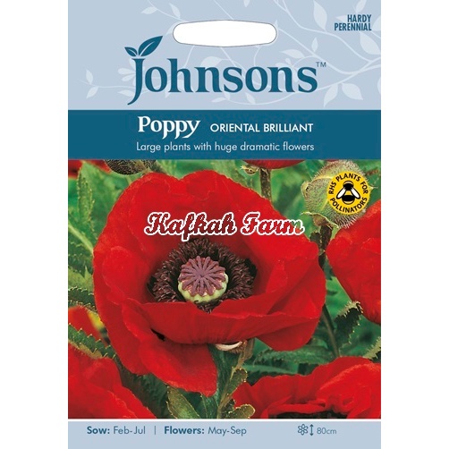 Jual Benih 3 Biji Bunga POPPY Oriental Brilliant | Shopee Indonesia