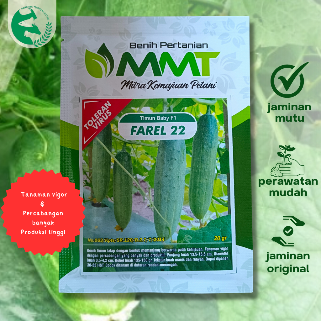 Jual Benih Timun Baby Farel 22 F1 Asli 20 Gram Cap MMT Bibit Mentimun ...