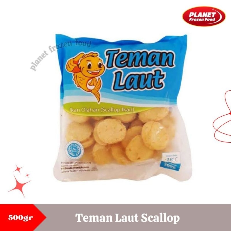 Jual TEMAN LAUT SCALLOP | Shopee Indonesia