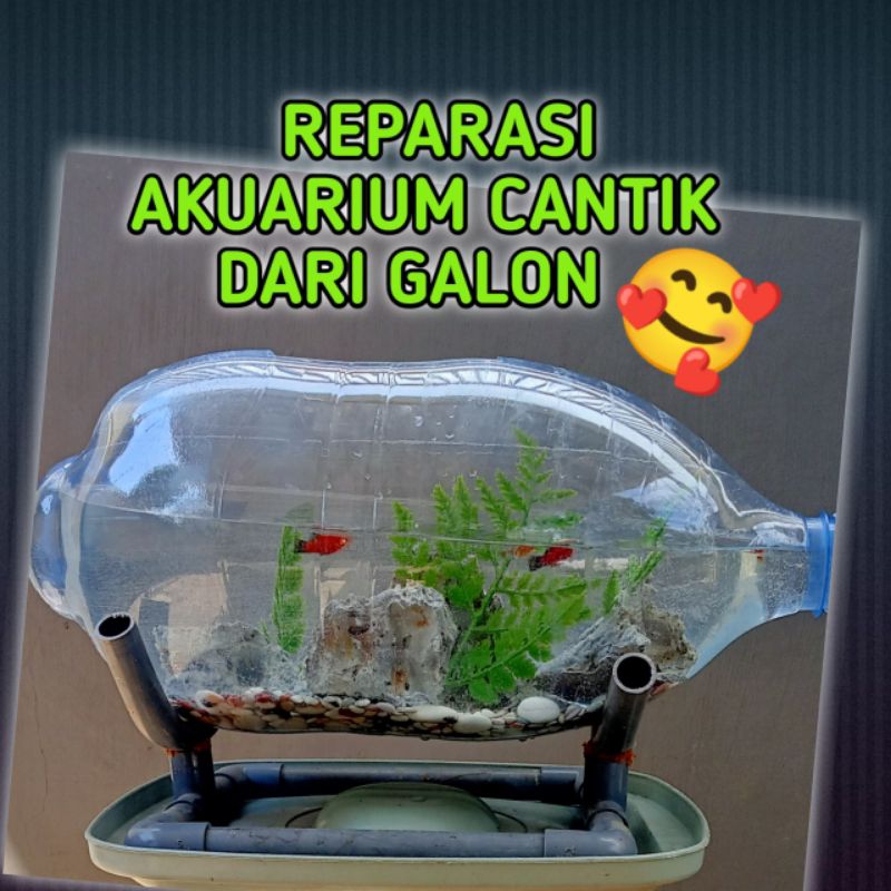 Jual Satu set aquarium galon bekas bentuk unik cocok untuk ikan hias ...