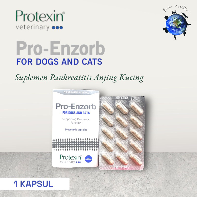 Jual Protexin Pro Enzorb Suplemen Pankreas - Pengganti Lypex Anjing ...