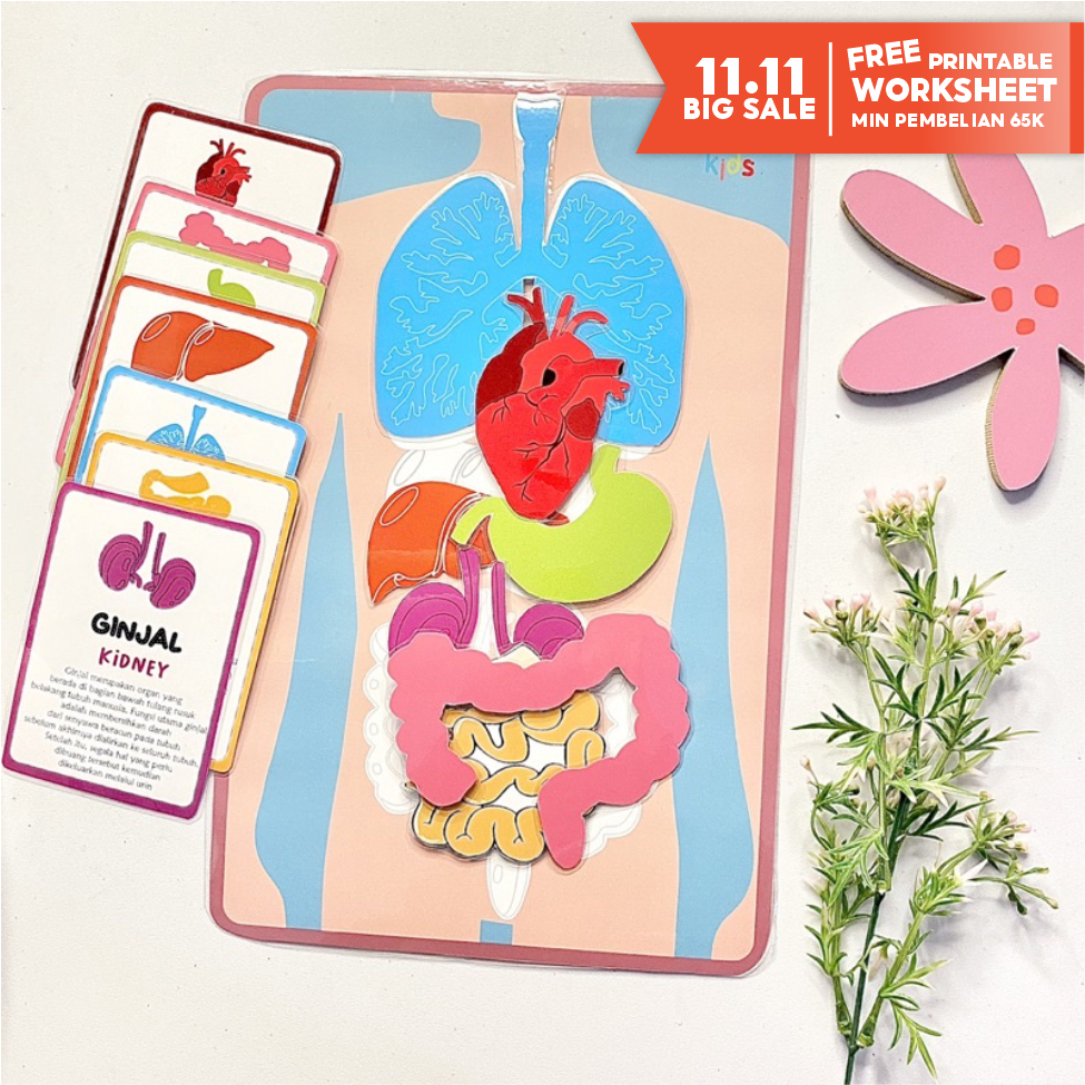 Jual Neenkids Mainan Montessori Belajar Organ Dalam Edukasi Anak Busy ...