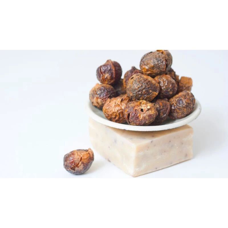 Jual Buah Lerak 1KG | Shopee Indonesia