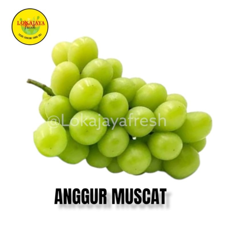 Jual Anggur Muscat 1 Kg | Shopee Indonesia