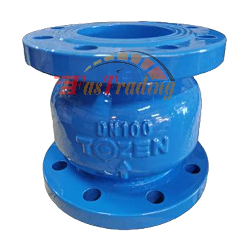 Jual Tozen Silent Check Valve 2” inch, – CSCV-FB Ductole Iron Body ...