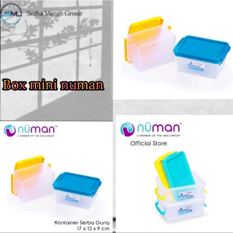 Jual Box mini/box kontainer/tempat penyimpanan mini/box mini numan ...