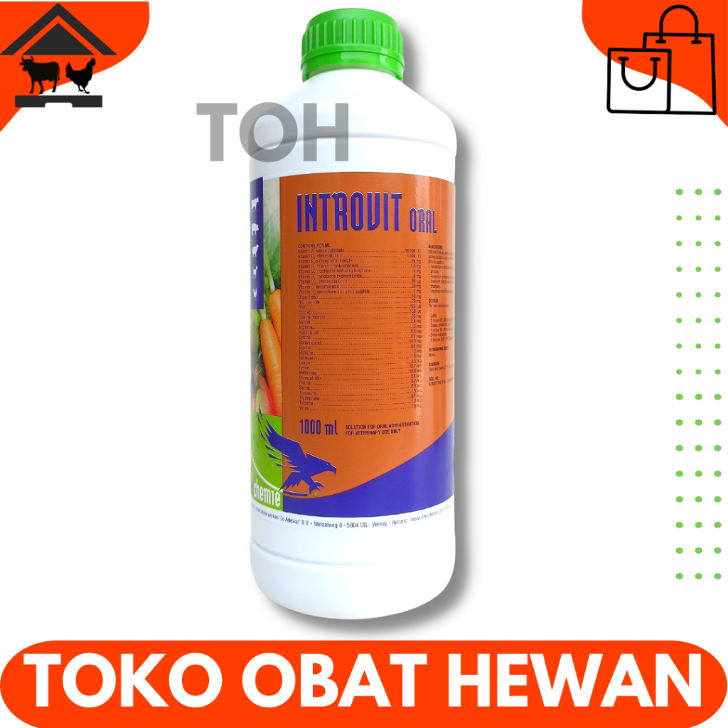 Jual INTROVIT ORAL 1 Liter Multivitamin & Asam Amino Mempercepat ...